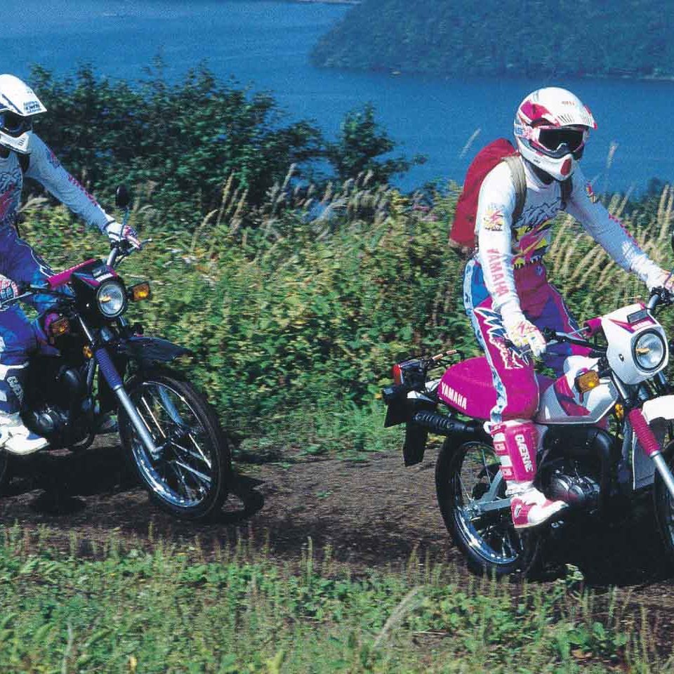DT50MX - NTS Parts - ENGLISH